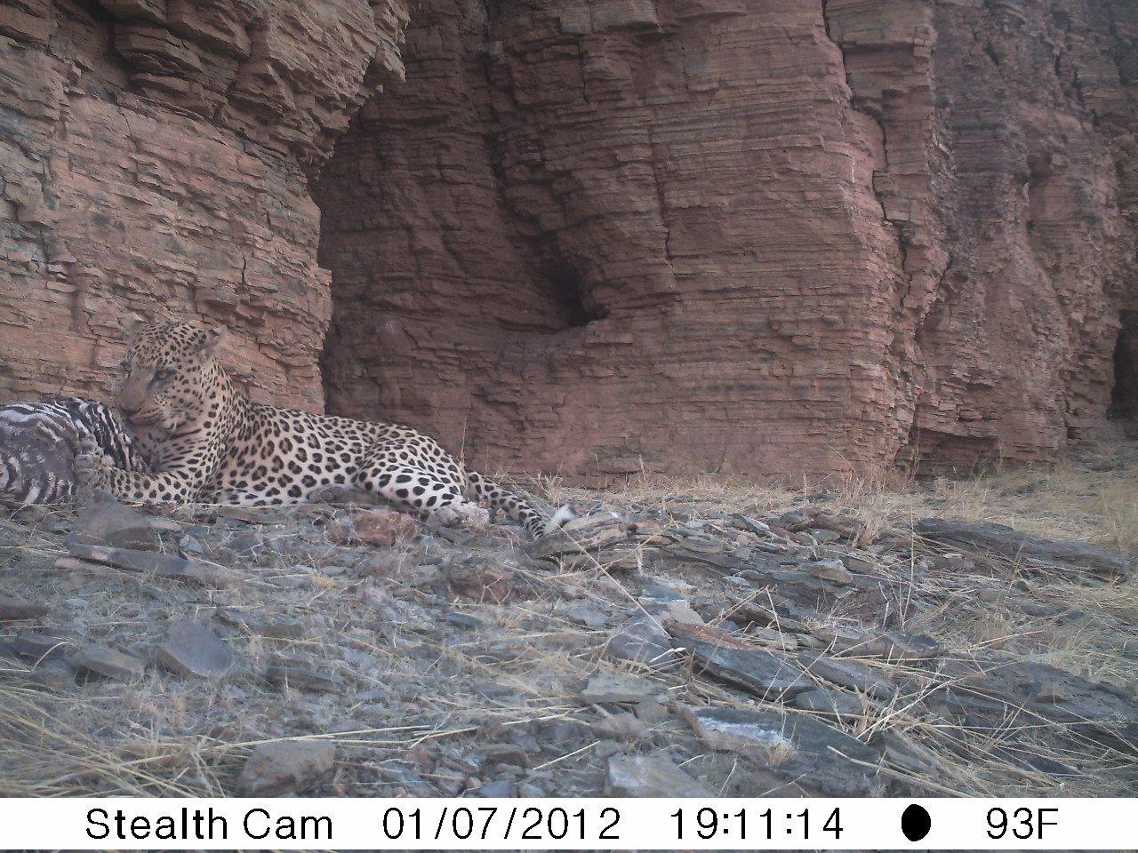 Naankuse Conservation Research