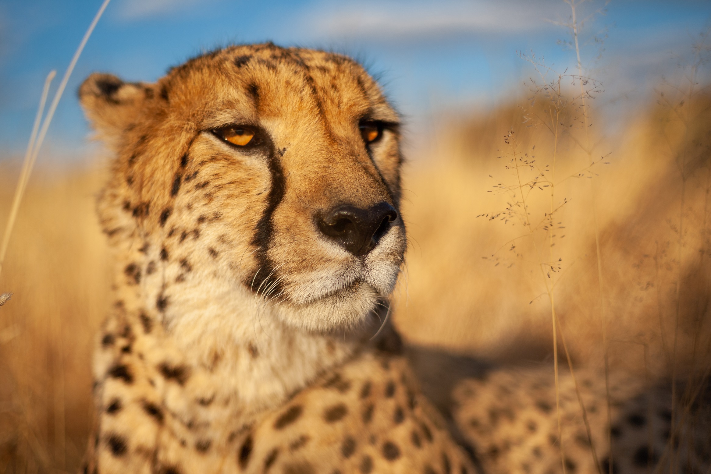 Naankuse Foundation Wildlife Sanctuary
